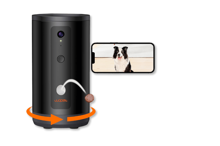 Dogs Supplies - DogsOnWings